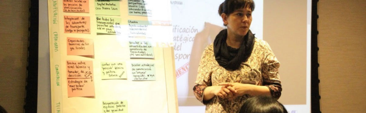 Low Emission Urban Transportation In Latin America And The Caribbean ...