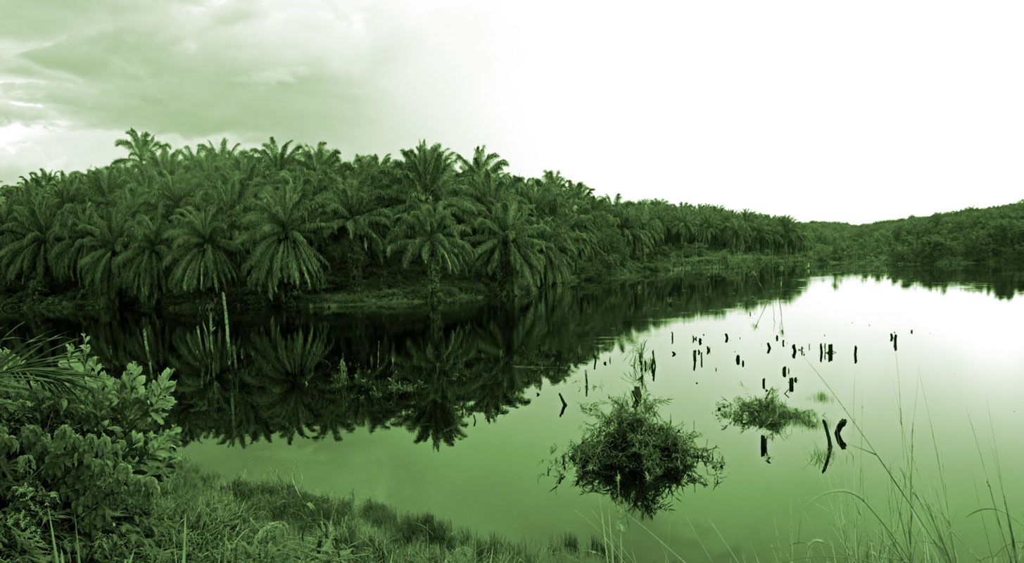 Coconut Suitability Mapping - SIG - Spatial Informatics Group