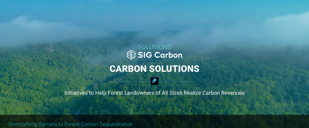 Solutions Carbon Oftsets - SIG - Spatial Informatics Group