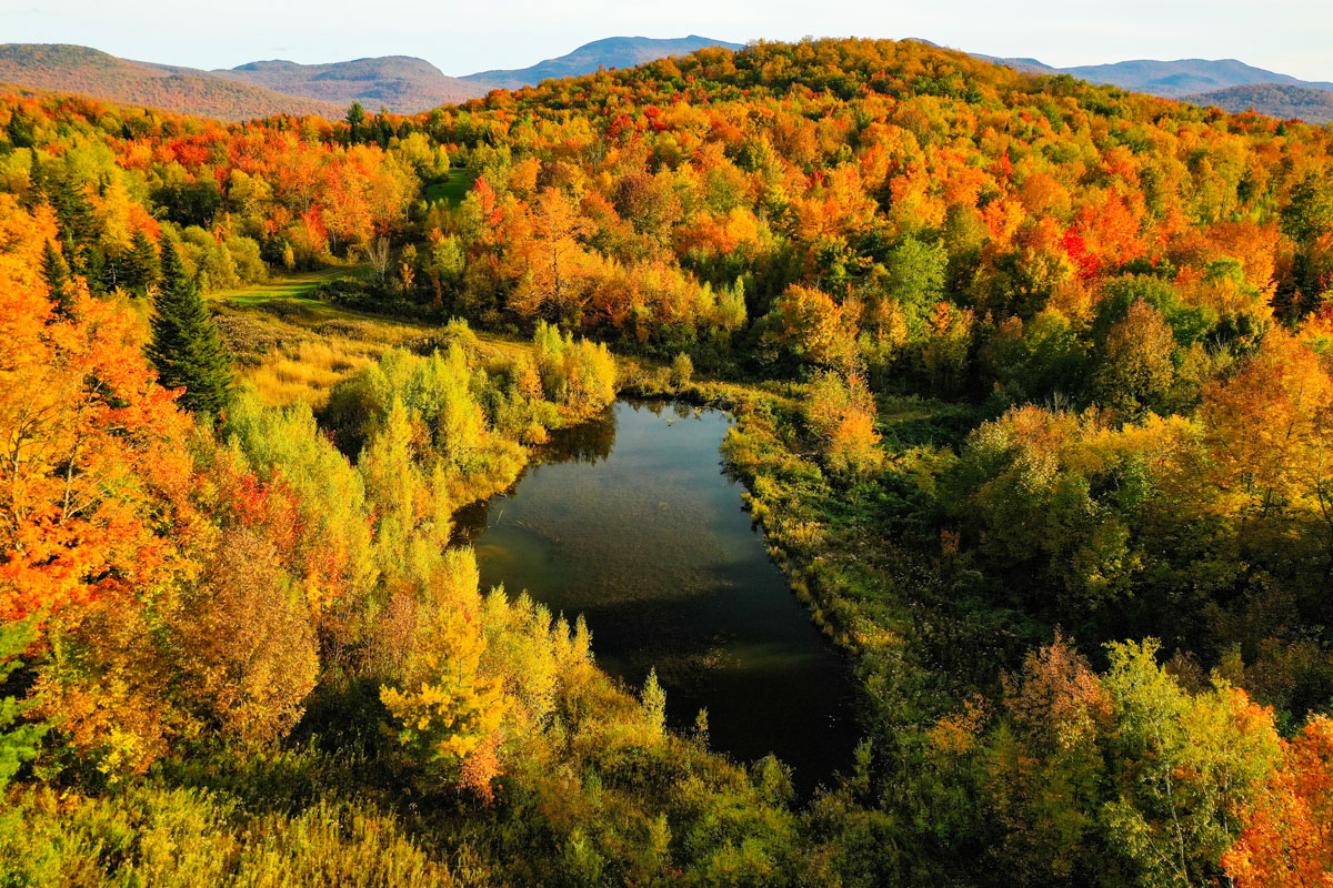 Vermont Land Trust Aggregation - SIG - Spatial Informatics Group