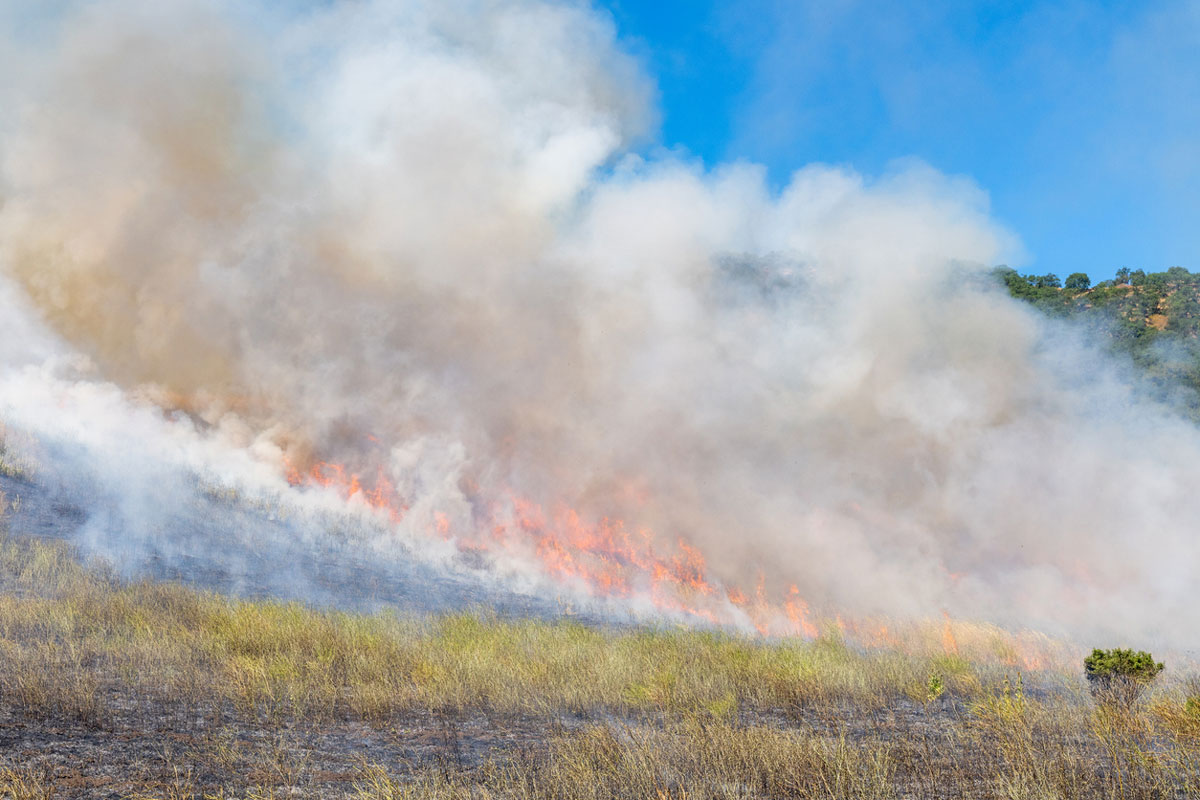 Modeling Fire Resiliency from Landscape-scale Fuel Treatments - SIG ...