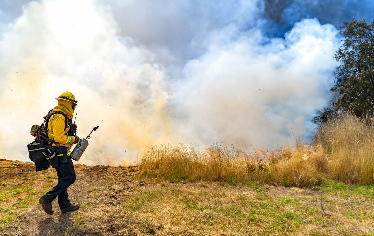 Modeling Fire Resiliency from Landscape-scale Fuel Treatments - SIG ...