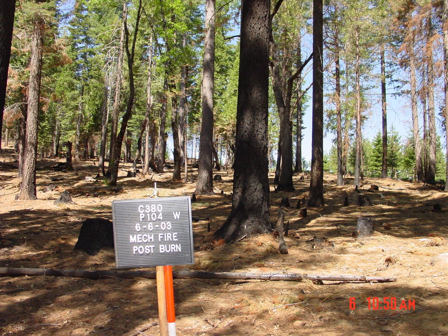 Planning And Implementing Fuel Treatments To Reduce Fire Hazard And ...