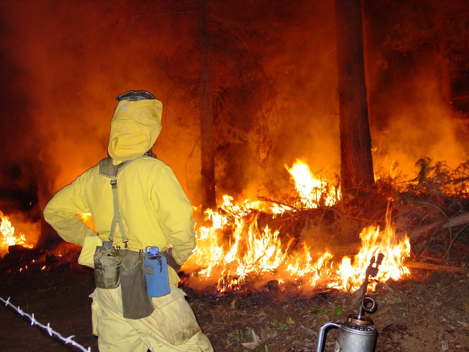 Planning And Implementing Fuel Treatments To Reduce Fire Hazard And ...