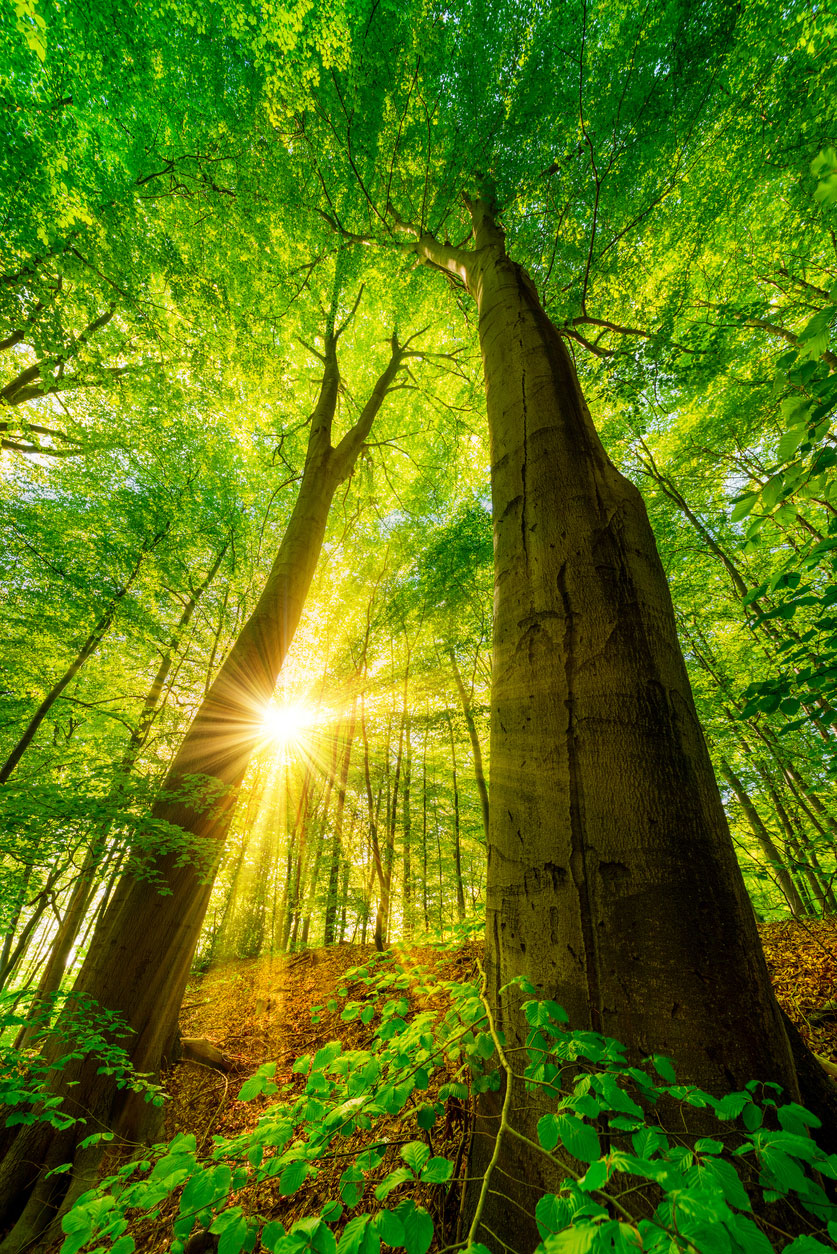 Greenline Climate - SIG - Spatial Informatics Group
