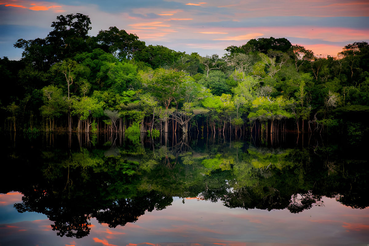 SERVIR-Amazonia Brings Data To The Ground For Better Decision-Making In ...