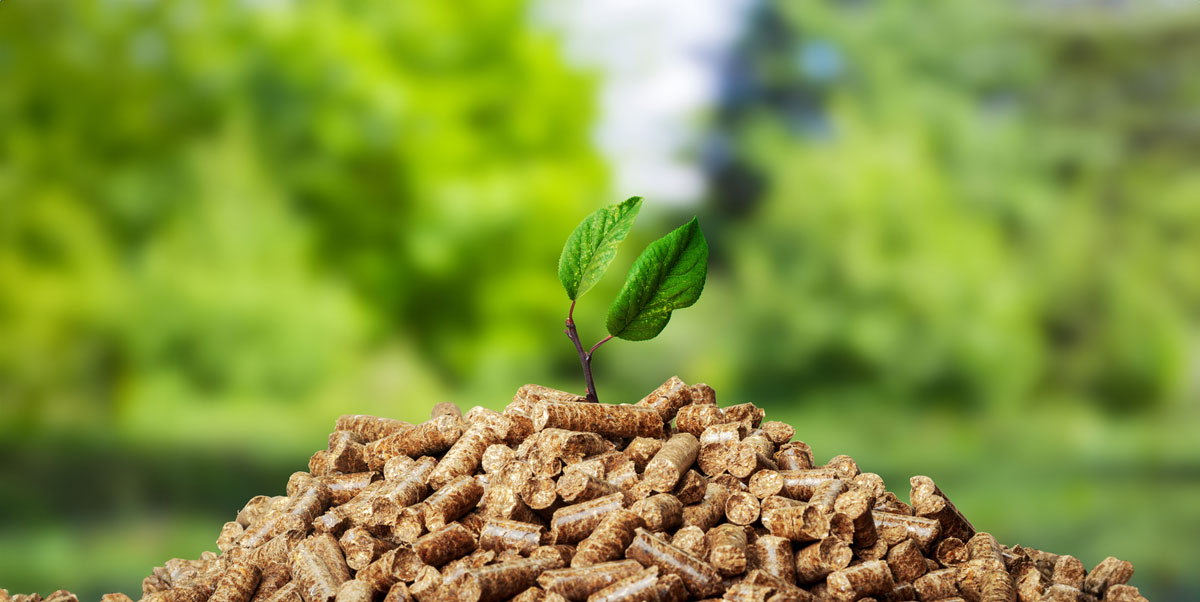 Low-Risk Bioenergy Can Be A Critical Climate Solution - SIG - Spatial ...
